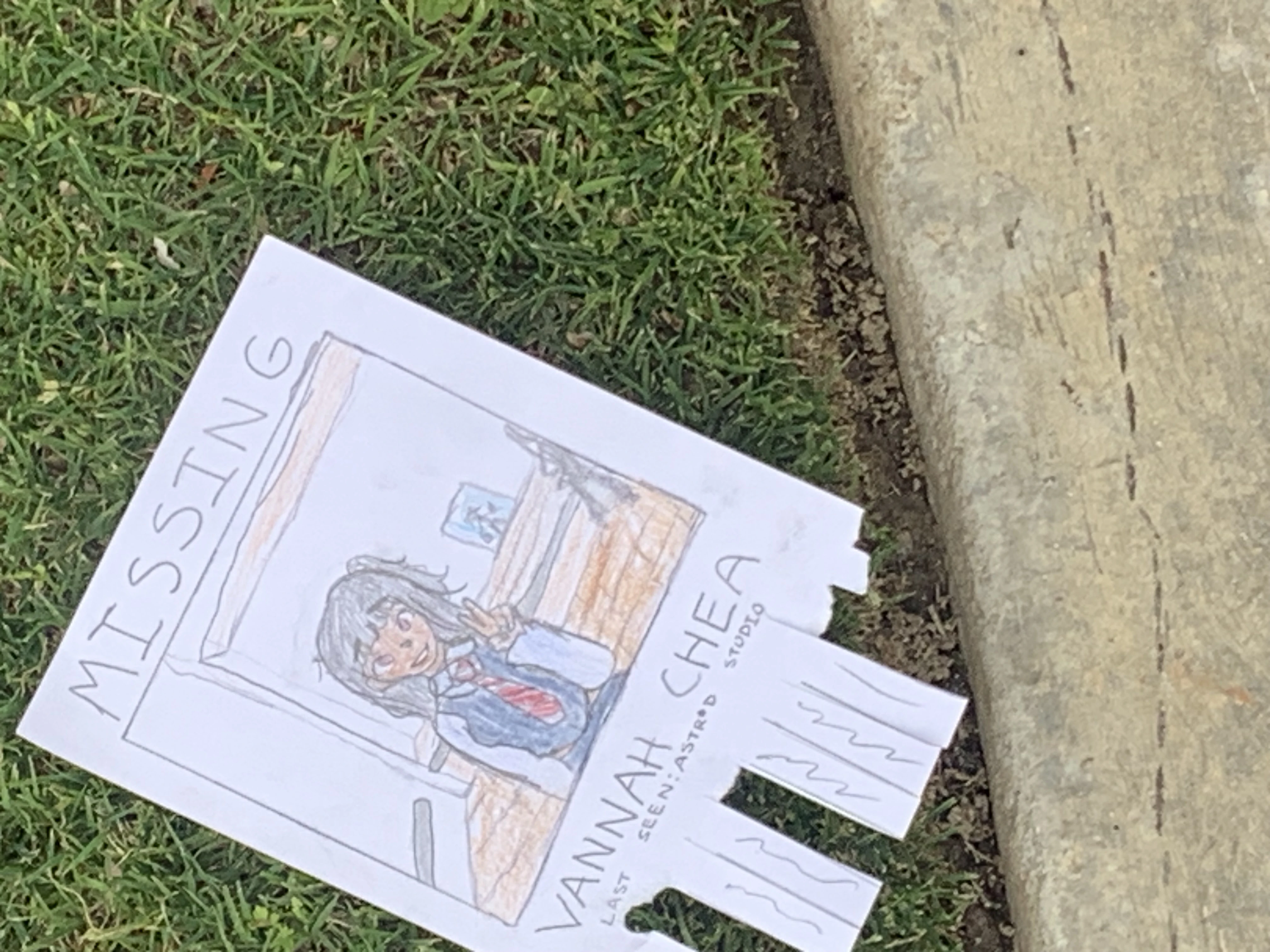 MISSING REPORT | Fandom