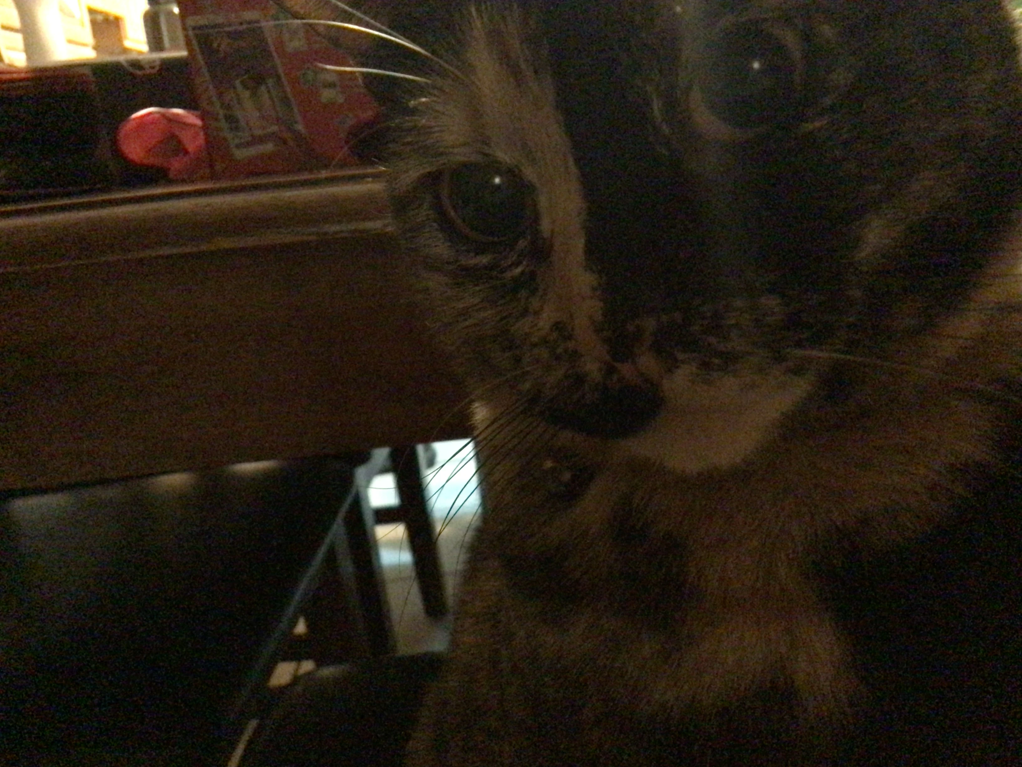 Mom: “you look like a boy in that outfit-“ | Fandom