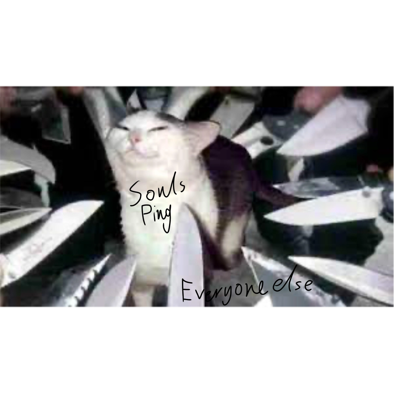 Souls Ping be like: | Fandom
