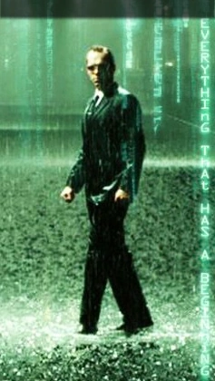 Rare NekoRiki sighting | Fandom