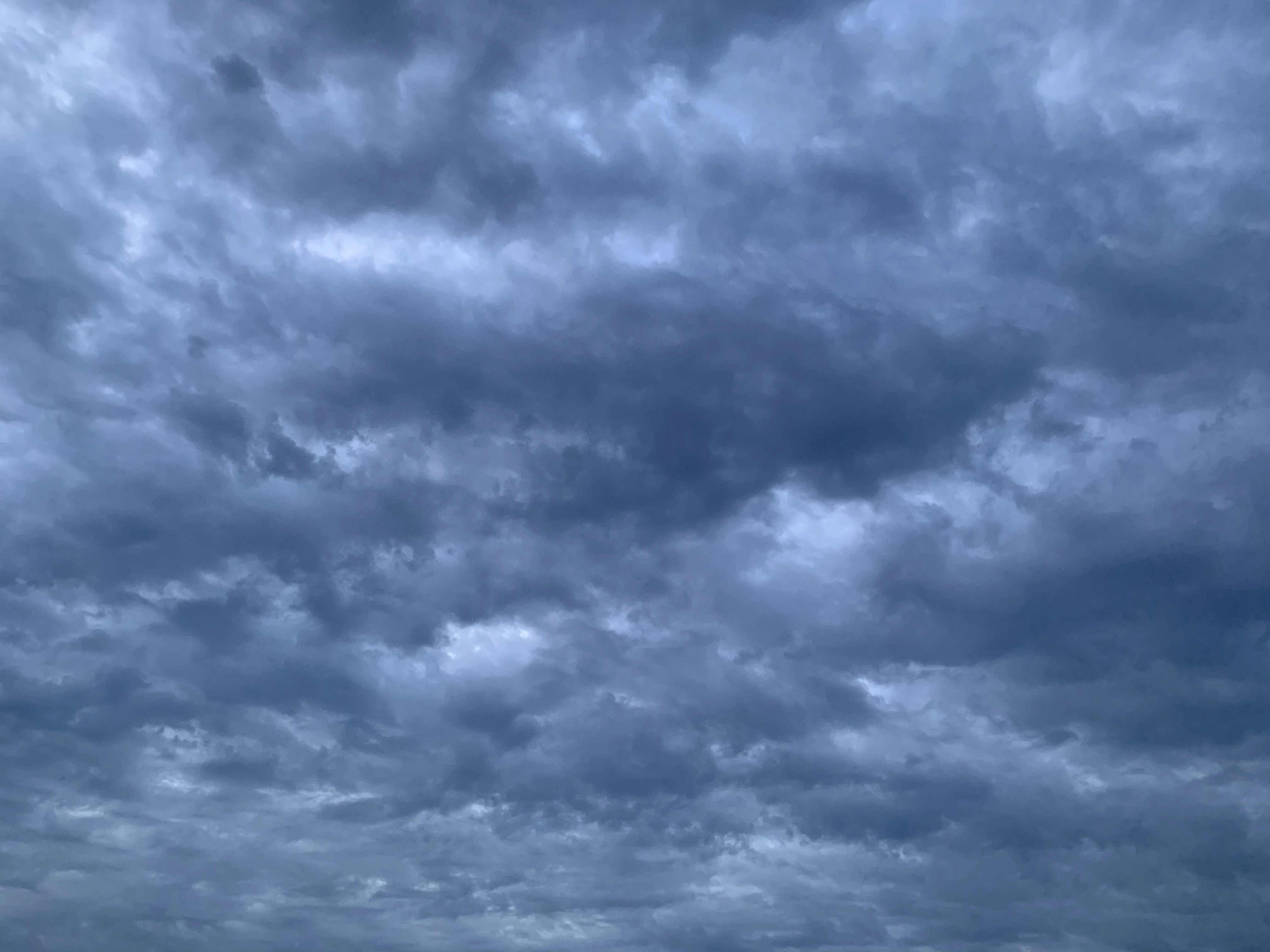 This is uncanny | Fandom