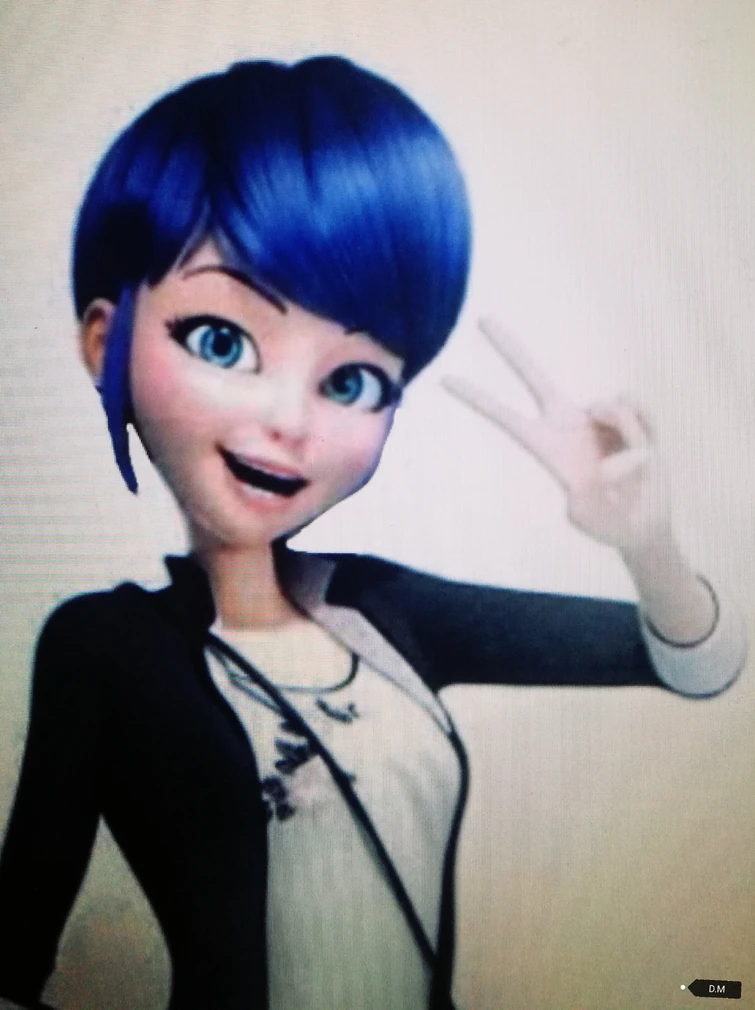 Future Marinette hair | Fandom