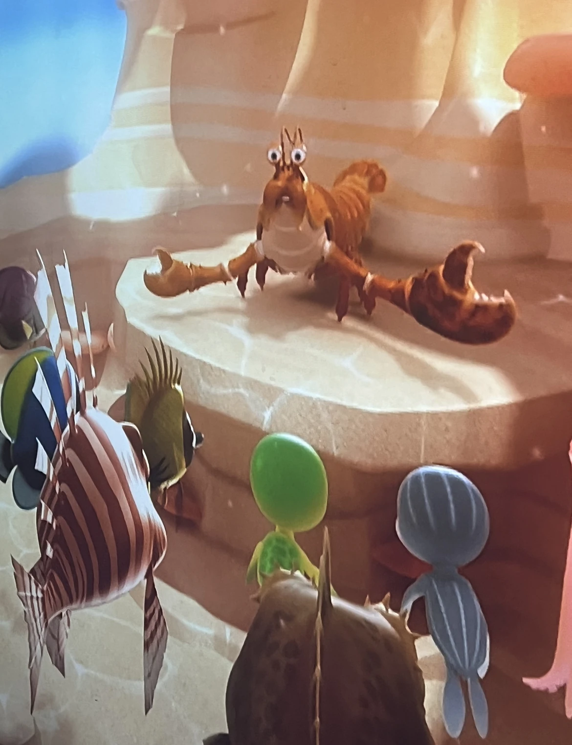 Caption dis | Fandom