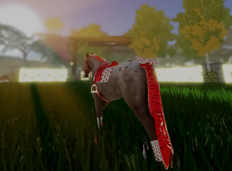 Settings tutorial! | Fandom