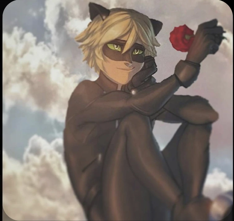 Do you think Cat Noir is cute and adorable? | Fandom