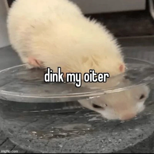 dink my oiter | Fandom