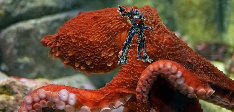 Octopus Prime | Fandom
