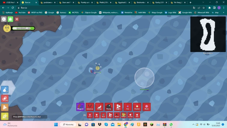 Discuss Everything About Florr.io Community Wiki | Fandom