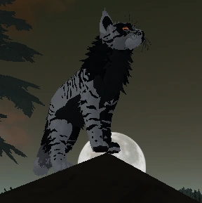 My pfp was chosen | Fandom