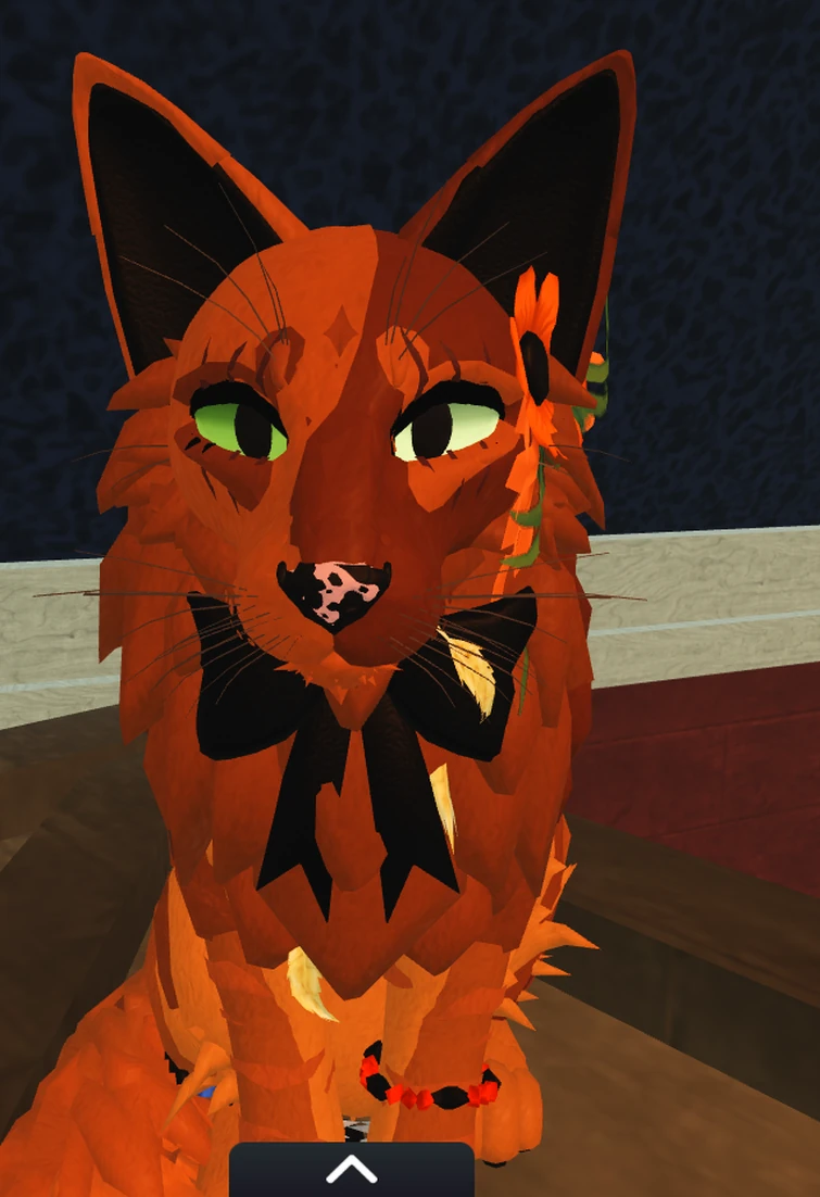 i was bored so uh- enjoy new designs of some of the main lads as cats ...