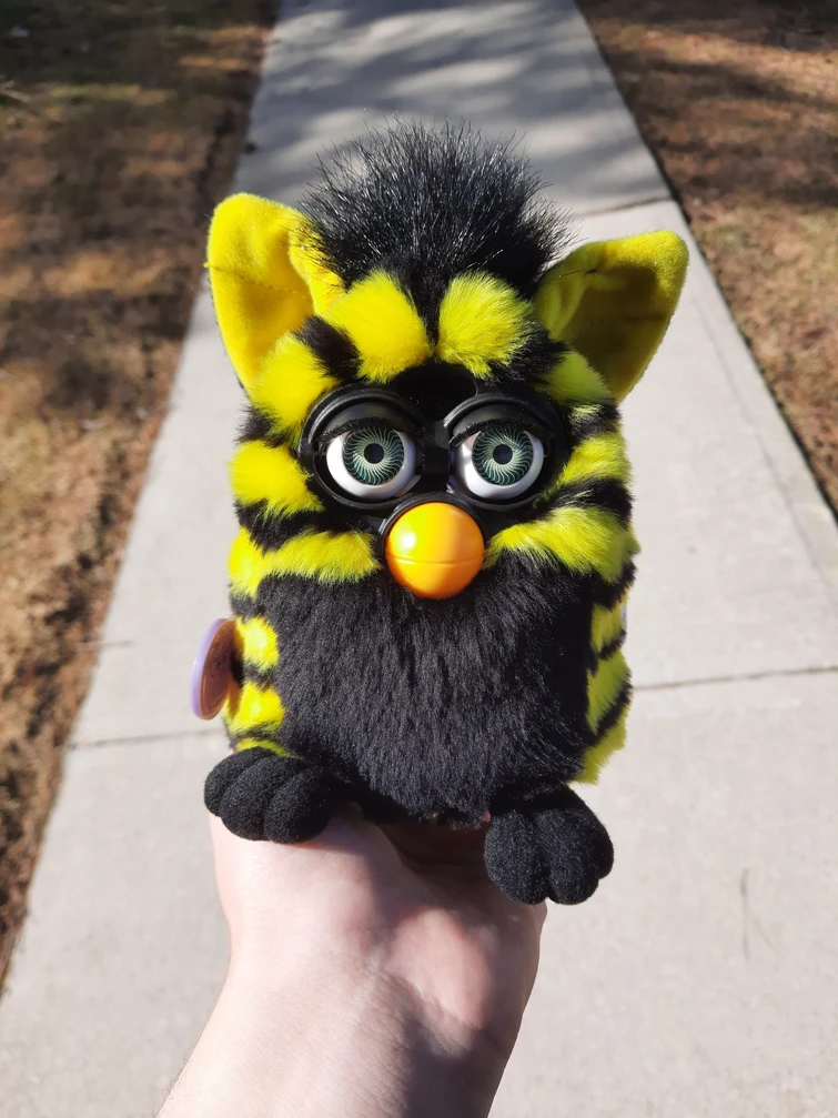 Discuss Everything About Official Furby Wiki | Fandom