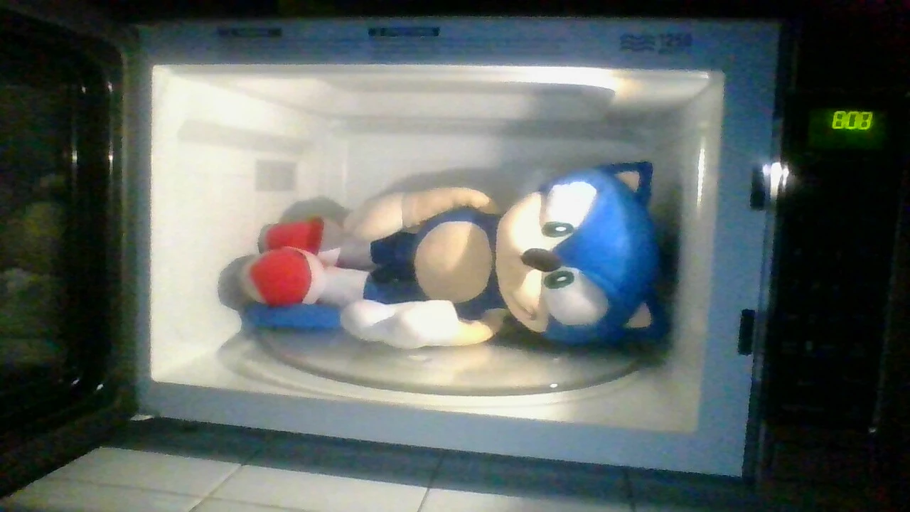 Im Summoning The Microwave Man And I Needed A Sacrifice So... | Fandom