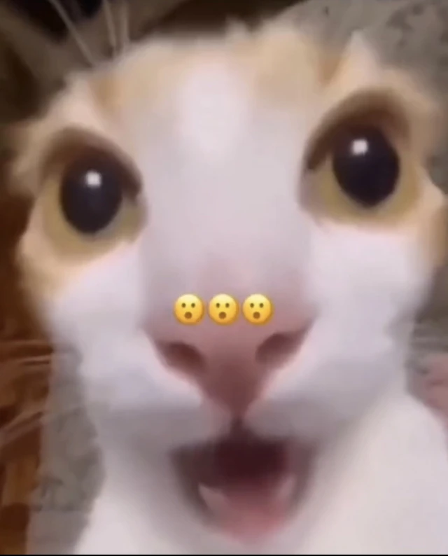 this is confusing | Fandom