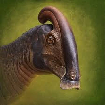 Discuss Everything About Dinopedia | Fandom