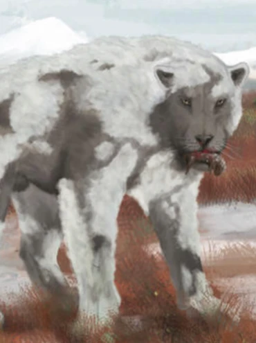 Discuss Everything About Dinopedia | Fandom