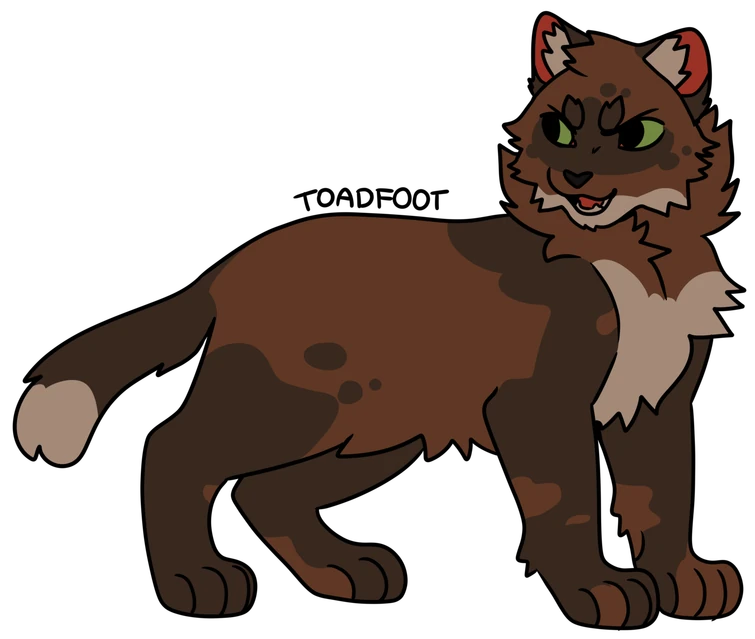 The new cats in Outcast (and the ones that changed ranks) | Fandom