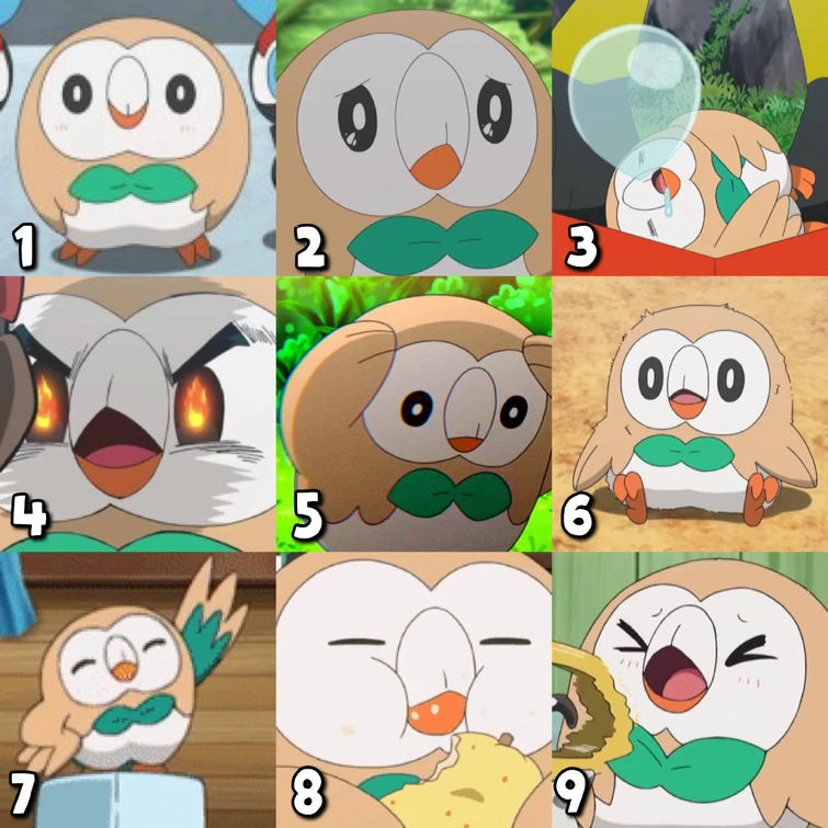 Here's all of my images of Rowlet | Fandom