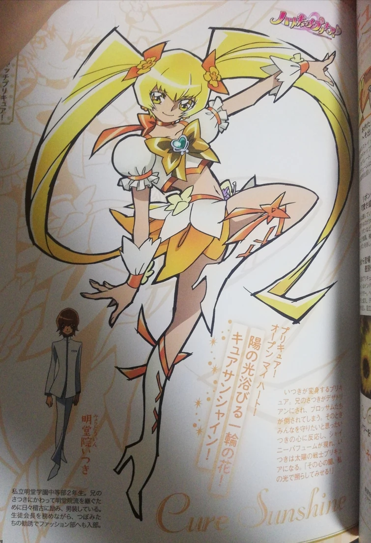 The 20th Anniversary PreCure Costume Chronicle arrived my house! (Cure ...