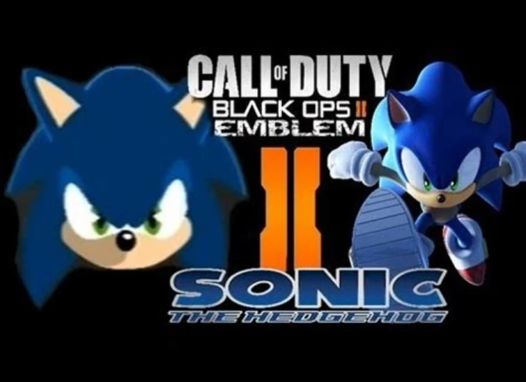 How did you expressed anything related to Sonic outside his projects ...