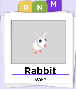 How common are mega rabbits?? | Fandom