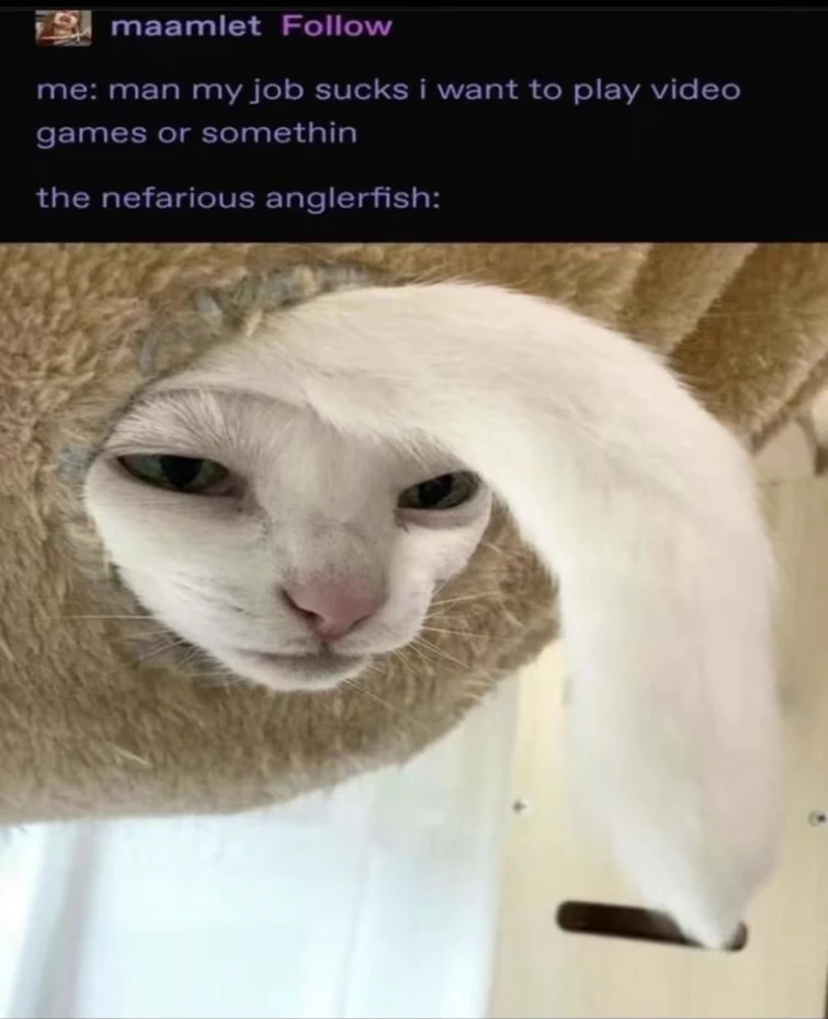 WE NEED YOU HELP!1!1!1!1!1!1one!1! | Fandom