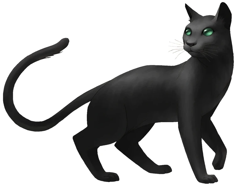 Is morgana a cat? | Fandom