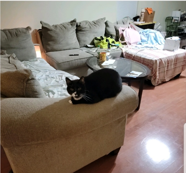 my boy my boyyyy | Fandom