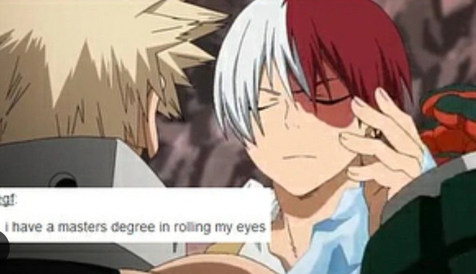 WHY THE HECK IS EVERYONE ON THIS FANDOM IN LUV WITH TODO-FREAKING-ROKI ...