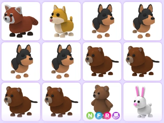 Discuss Everything About Adopt Me! Wiki | Fandom