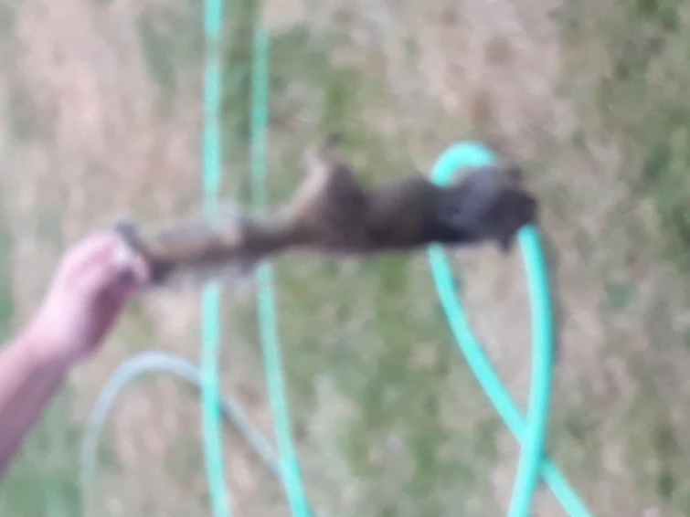 Discuss Everything About TheHunter: Call of the Wild Wiki | Fandom