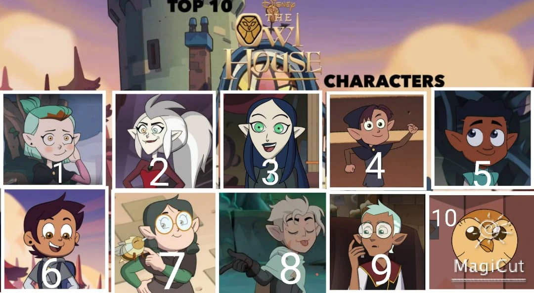 My top 10 favourite toh characters | Fandom