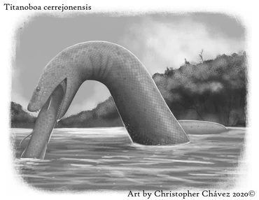 Which of these gigantic prehistoric snakes is the coolest in your ...