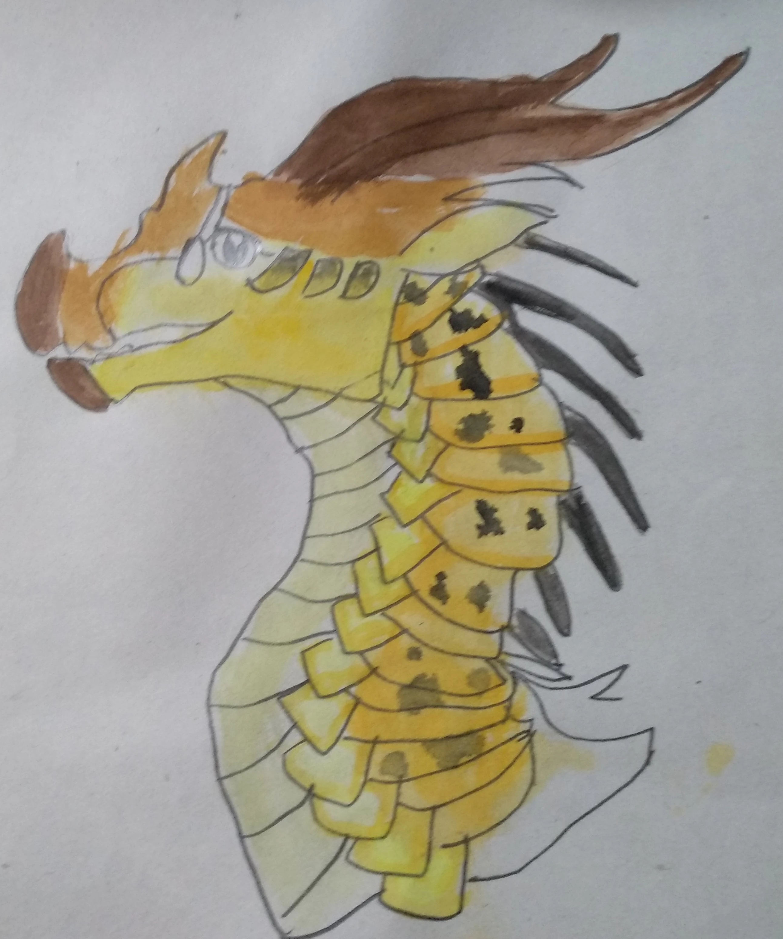 Rp/ Drawing | Fandom