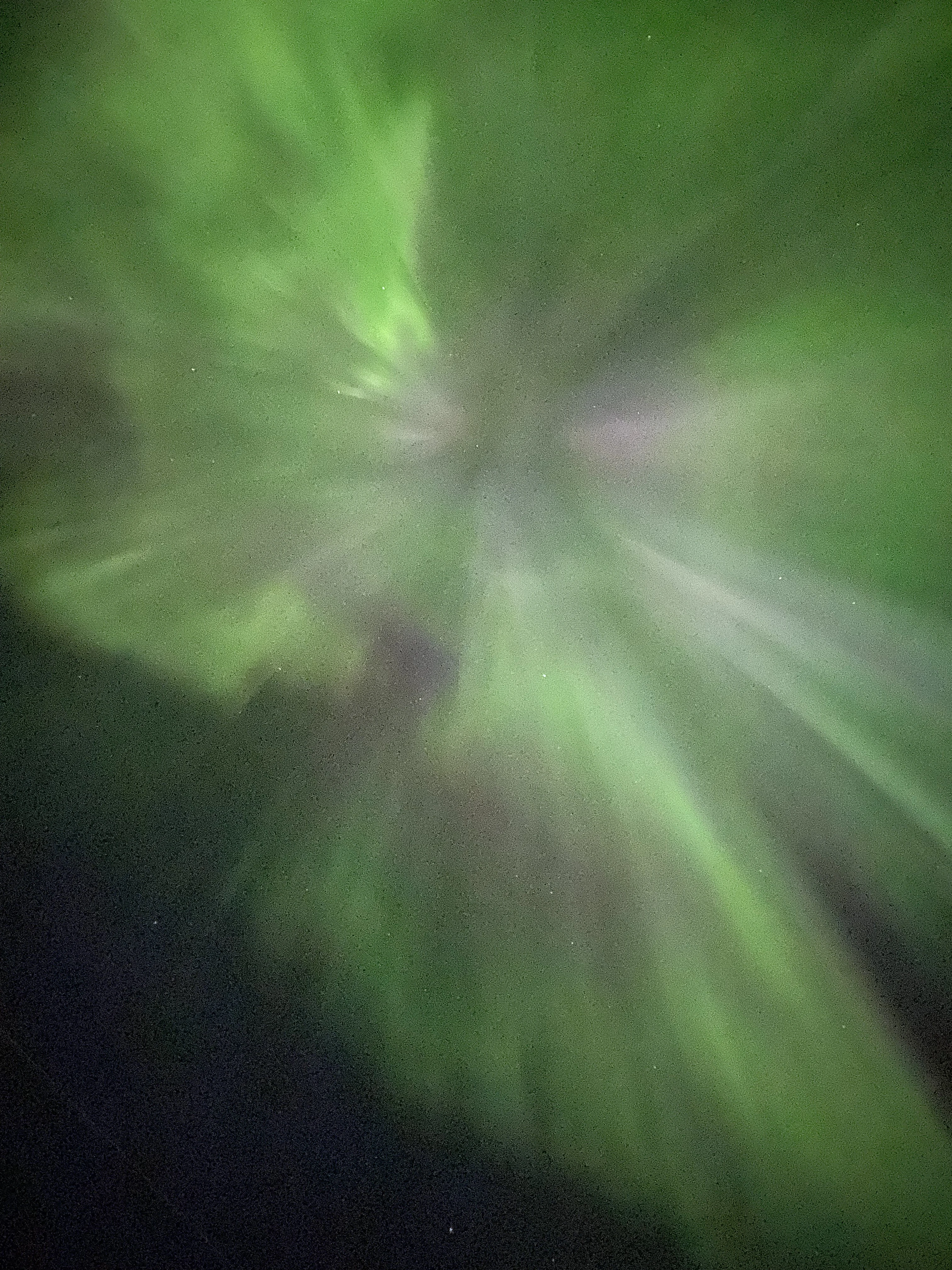 very pretty sightings! | Fandom