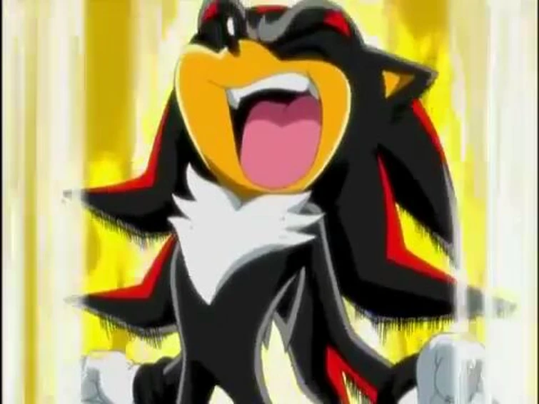 Why is Shadow screaming? Wrong answers only | Fandom