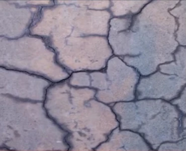 What entity would you make extinct? #6 | Fandom