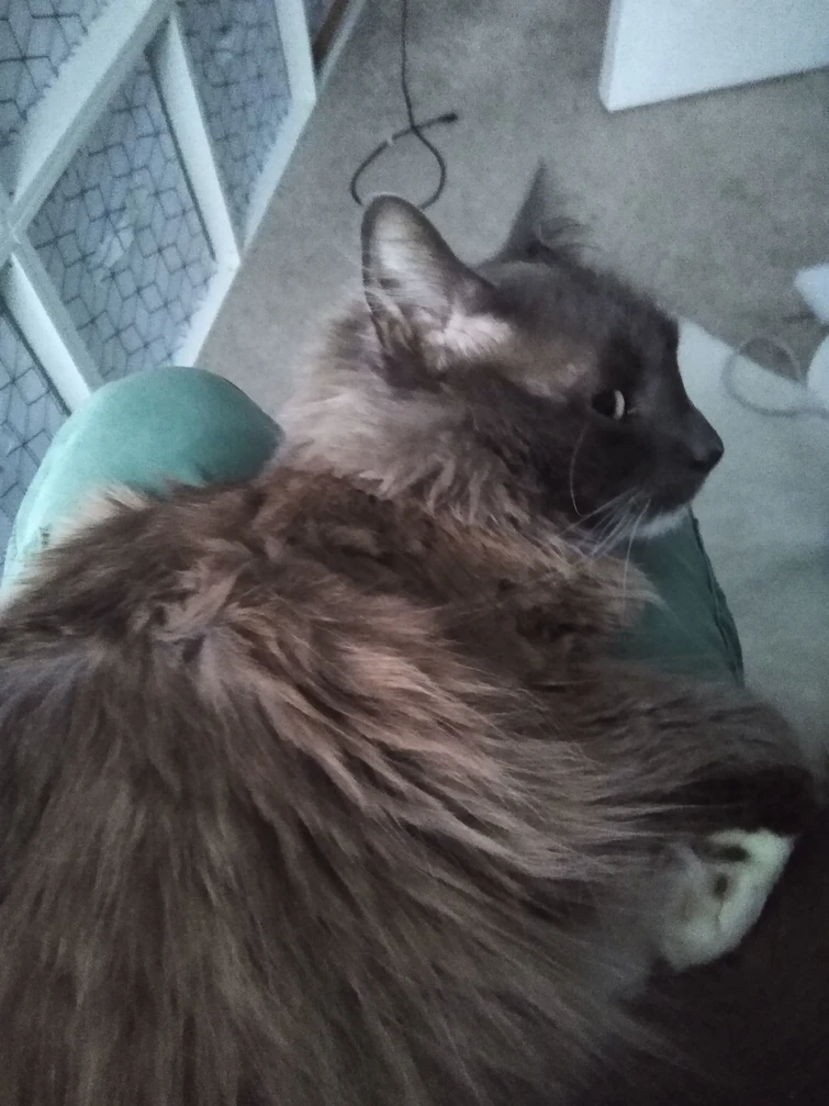 art training arc 2 | Fandom