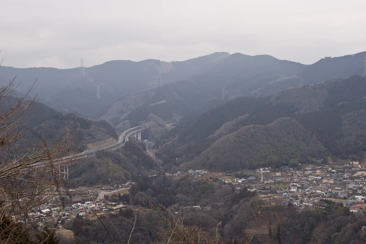 I went to Muichiro's Mountain! | Fandom