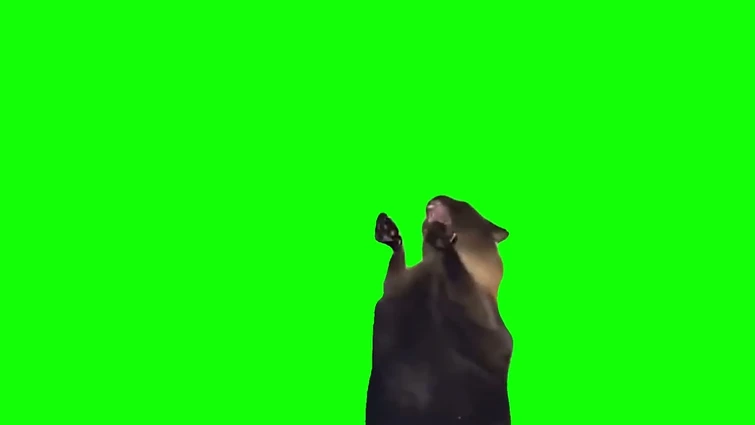 new general discussions!! | Fandom