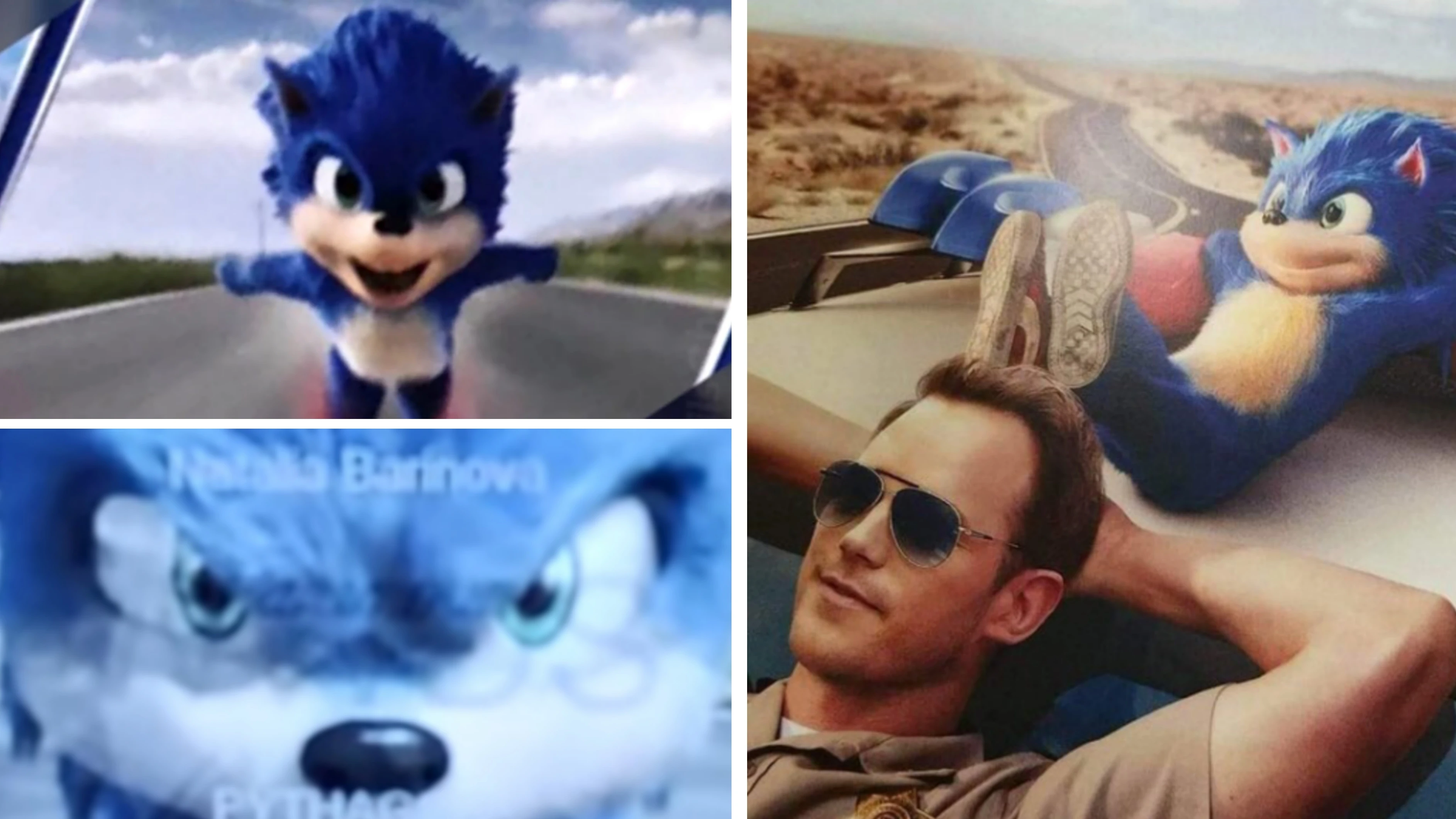 Possibly The BIGGEST Hot Take In Sonic Wiki...(MY OPINION) | Fandom