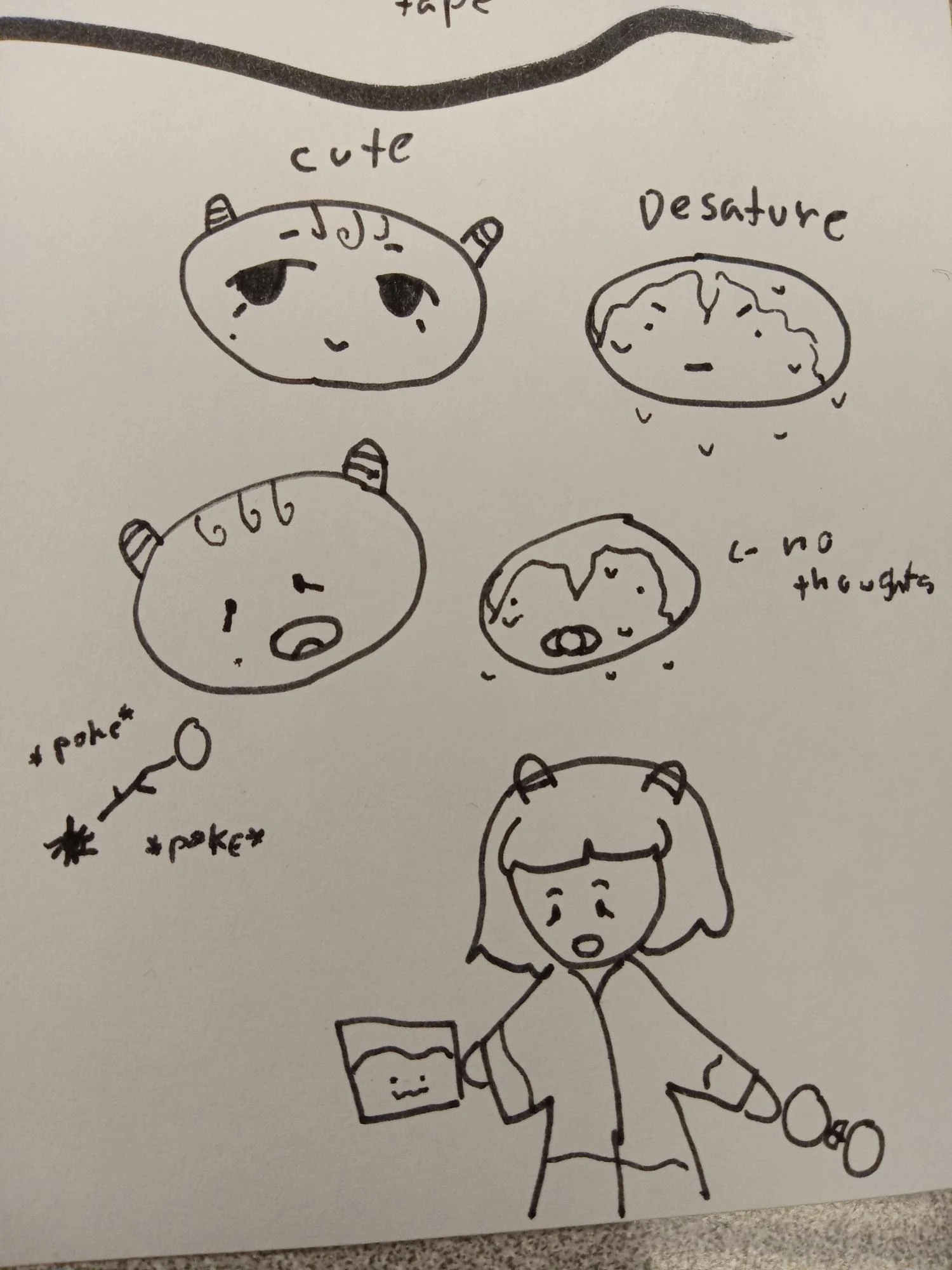 Baby Matcha | Fandom