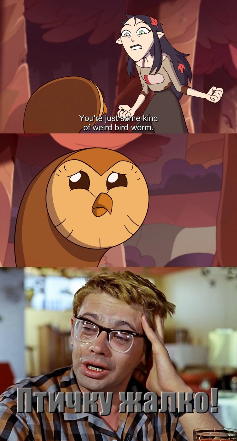 Poor birdie! | Fandom