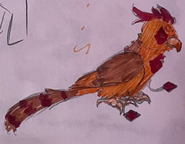 Bird | Fandom