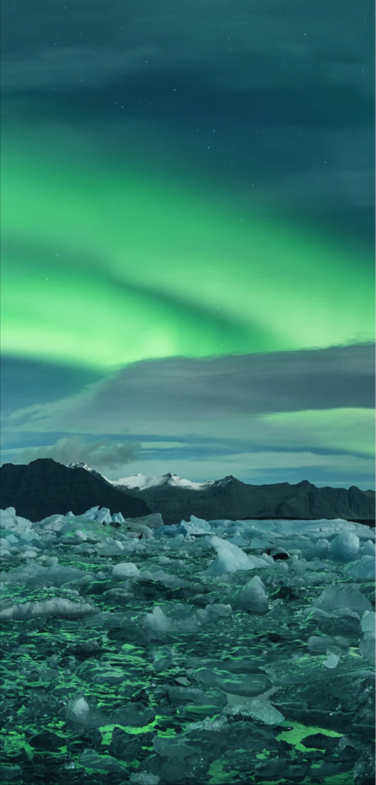 Realism based art | Fandom