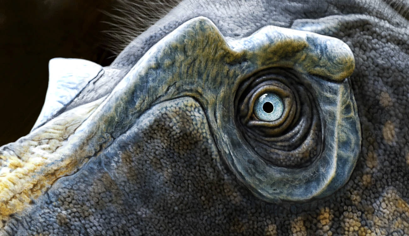 A new species?! | Fandom