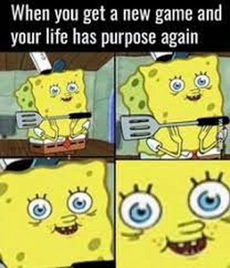 Everyday life of a gamer meme | Fandom