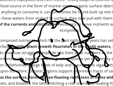 feesh | Fandom