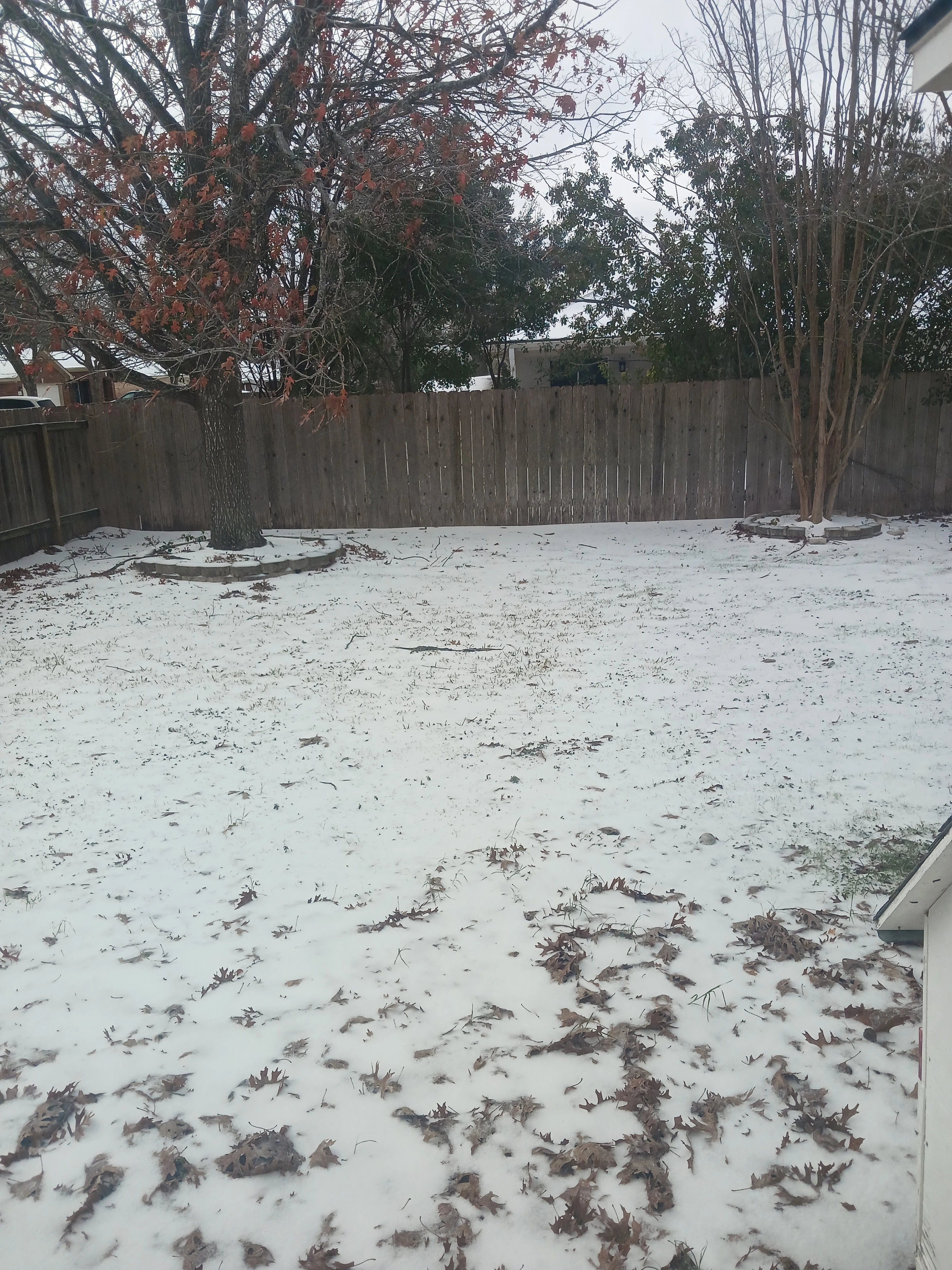 It actually snowed in Texas | Fandom