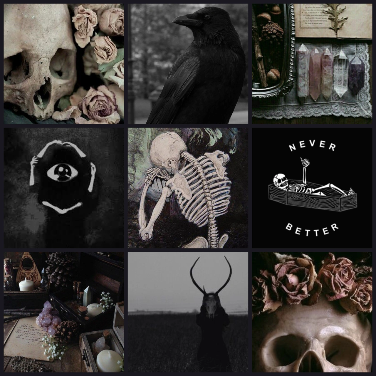 Does necromancer count as an aesthetic? Or an aesthetic similar to this ...