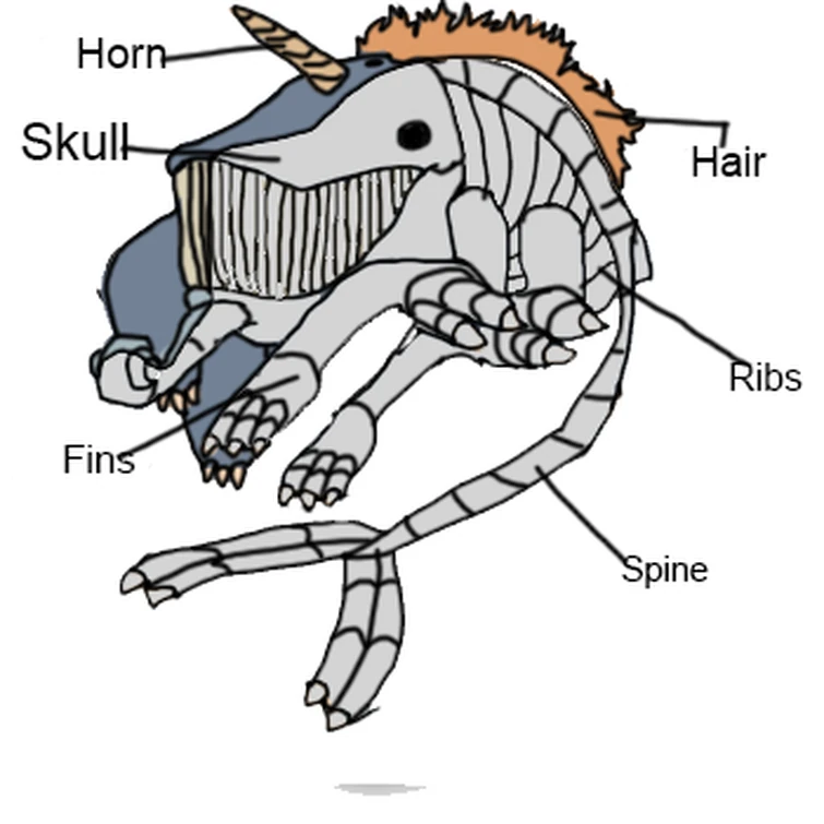 Monster Anatomy (5) | Fandom